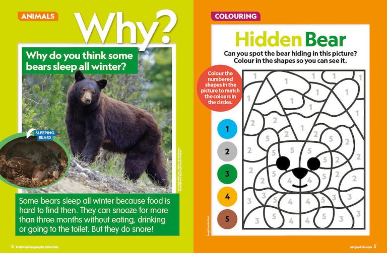 National Geographic Little Kids editor on the importance of setting an ...